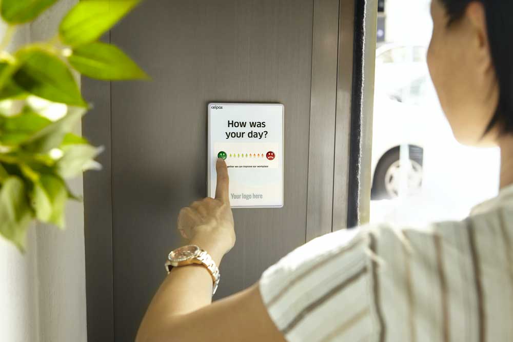 Feedback: o que é, significado, definição e conceito